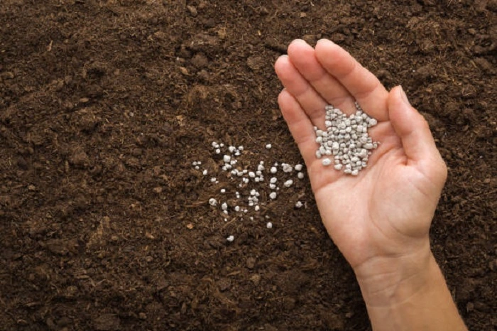 How Long Does It Take for Granular Fertilizer to Dissolve? - TheLawnWhiz